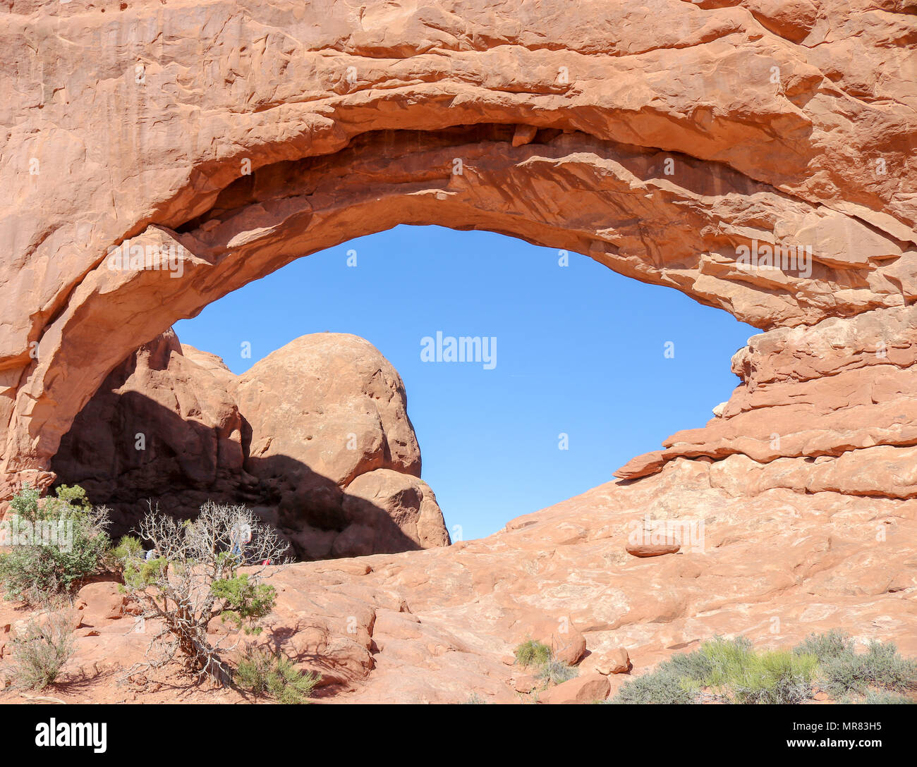 Eye like windows hi-res stock photography and images - Alamy