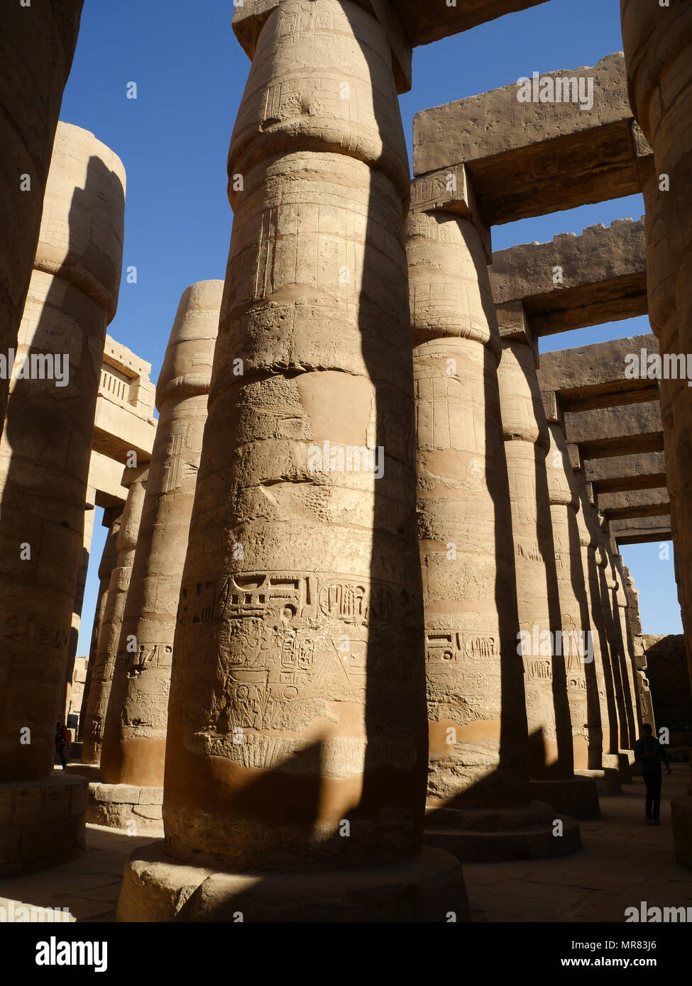 Illustration eagle killing rabbit spiders hi-res stock photography and ...