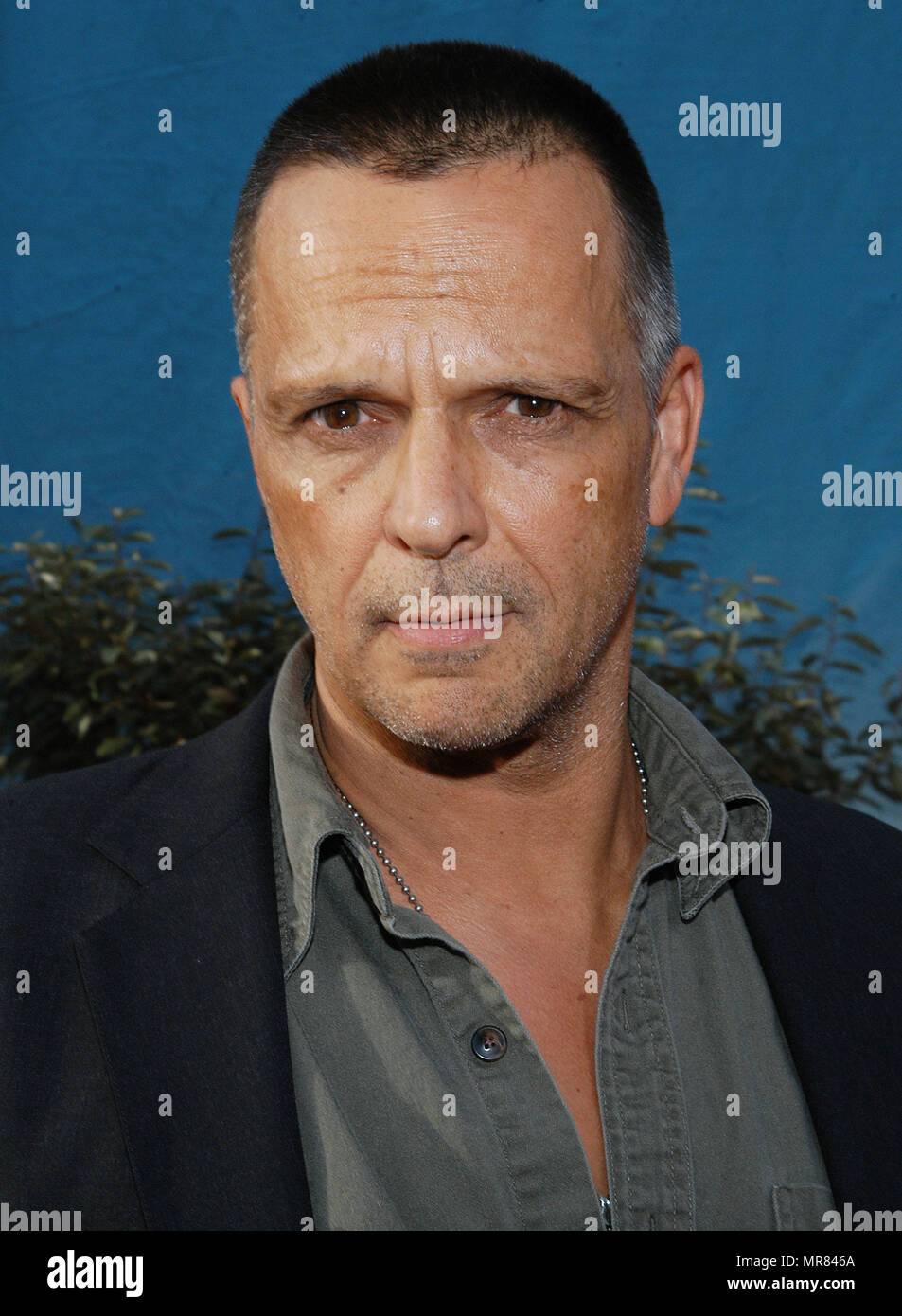 James russo red carpet event hi-res stock photography and images - Alamy