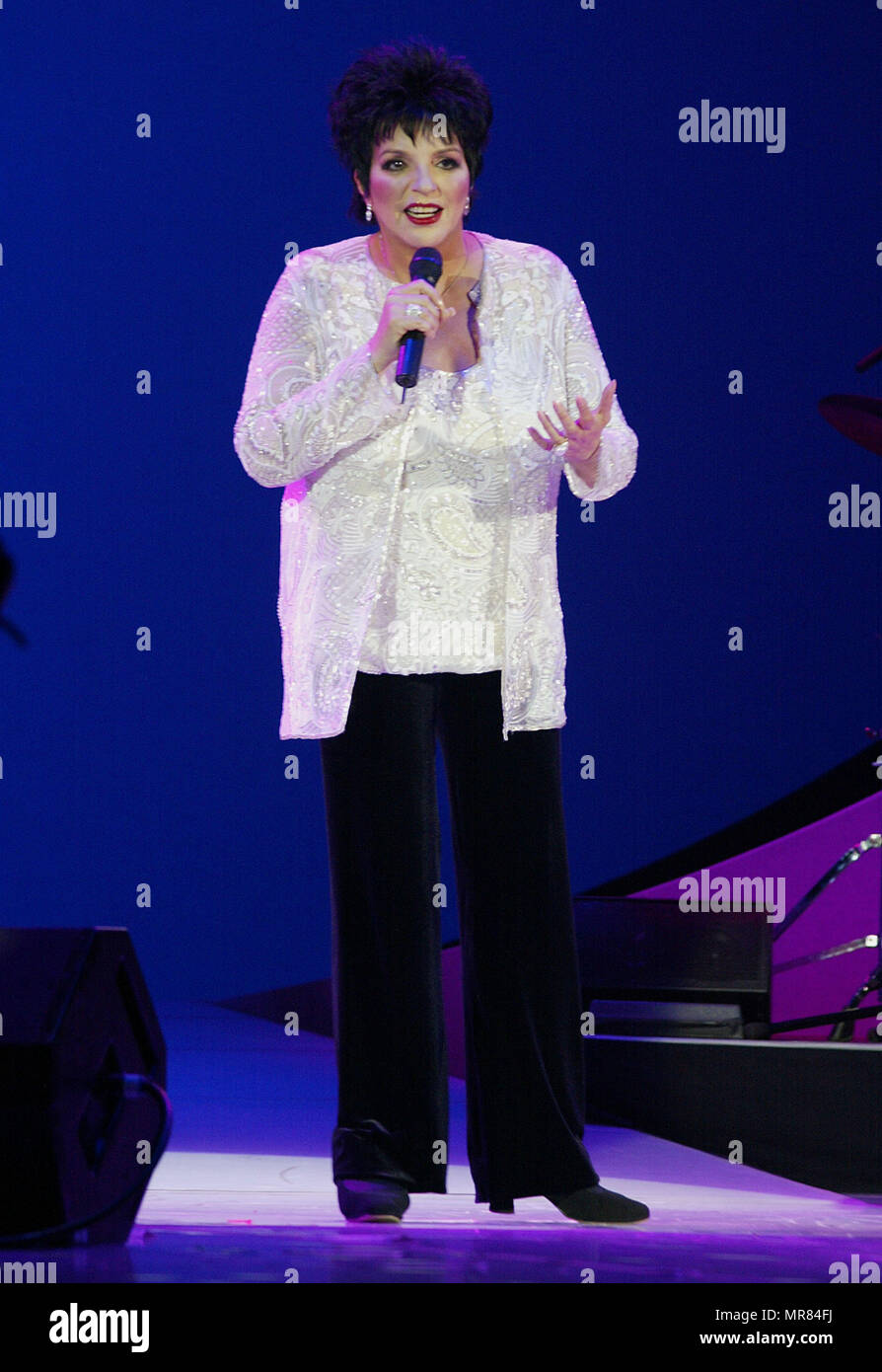 Liza Minelli at the "Macy's American Express Passport" a benefit for ...