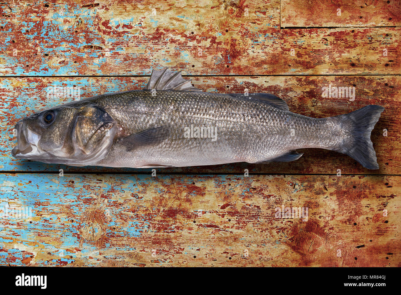 Robalo hi-res stock photography and images - Alamy