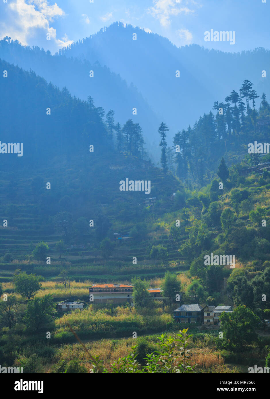 India himachal pradesh tirthan valley hi-res stock photography and ...