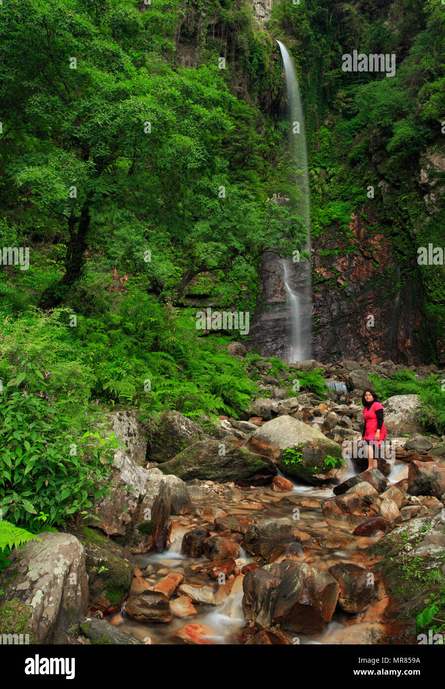 A beautiful waterfall at Tirthan Valley (Himachal Pradesh, India Stock ...