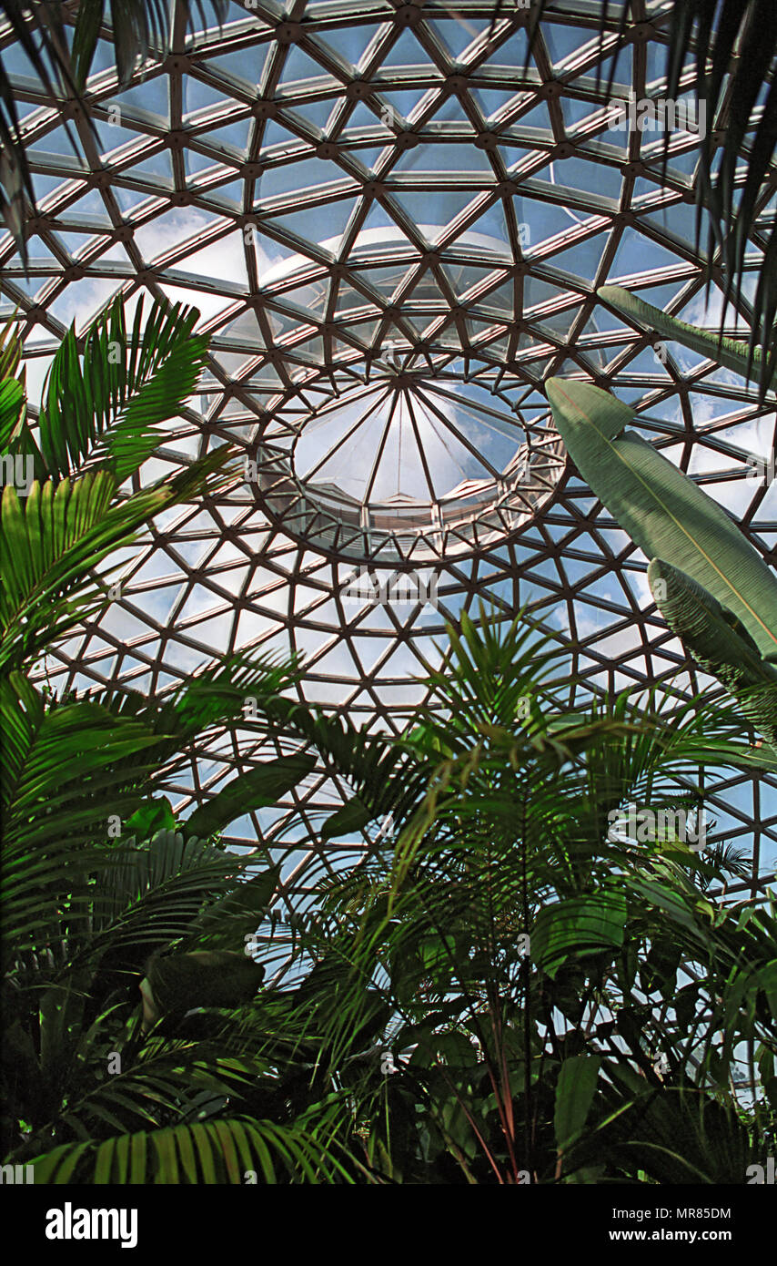 Glass Dome Display High Resolution Stock Photography and Images - Alamy