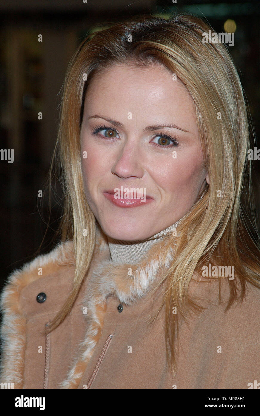 Rehn trista hi-res stock photography and images - Alamy