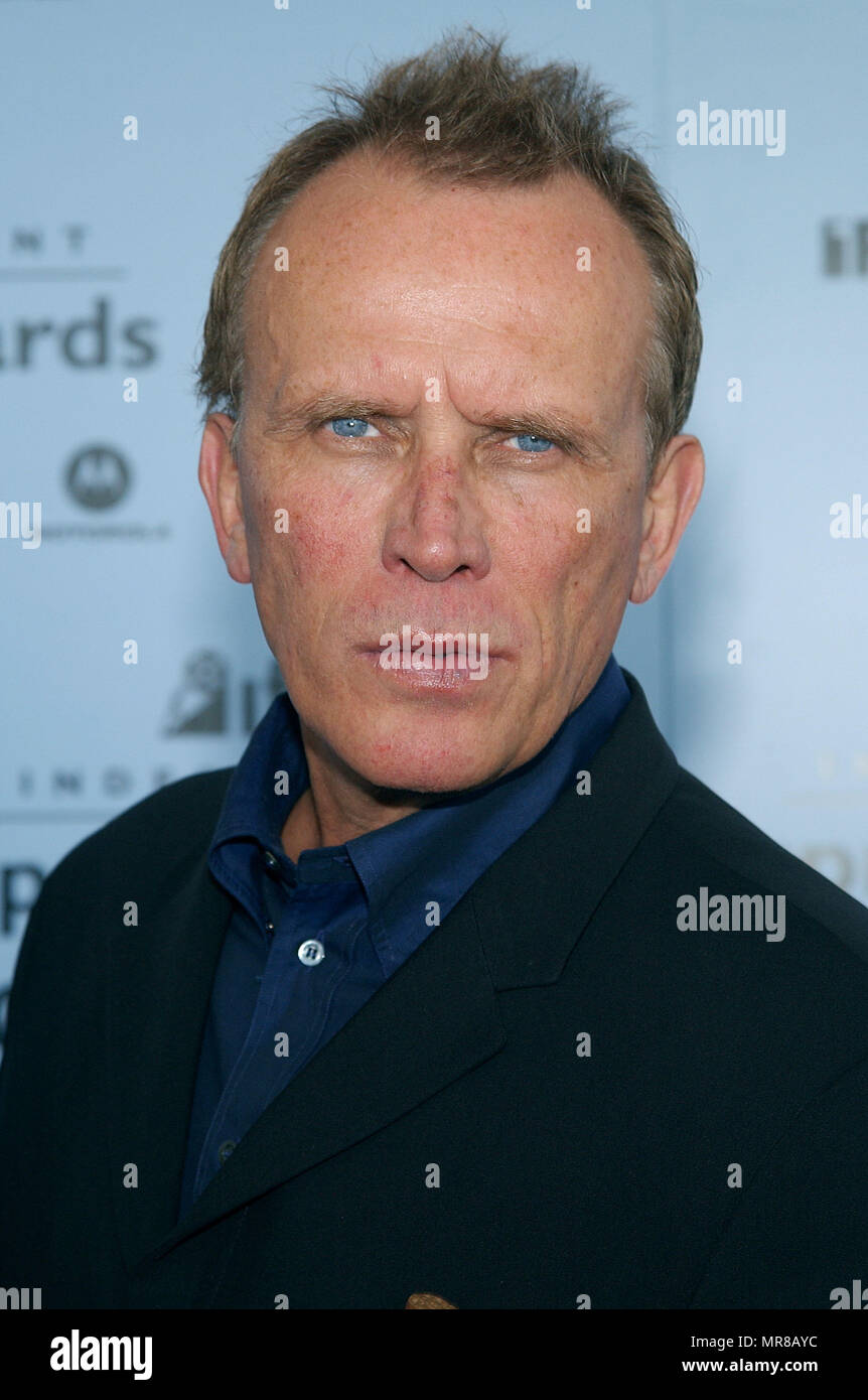 Peter Weller arriving at the " IFP Independant Spirit Awards " at the ...