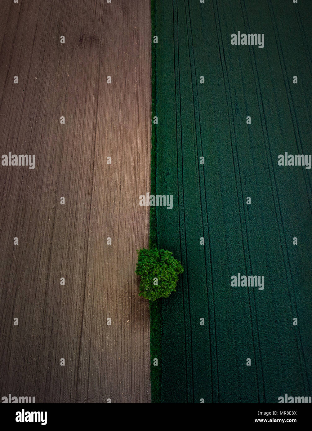 Drone tree lines hi-res stock photography and images - Alamy