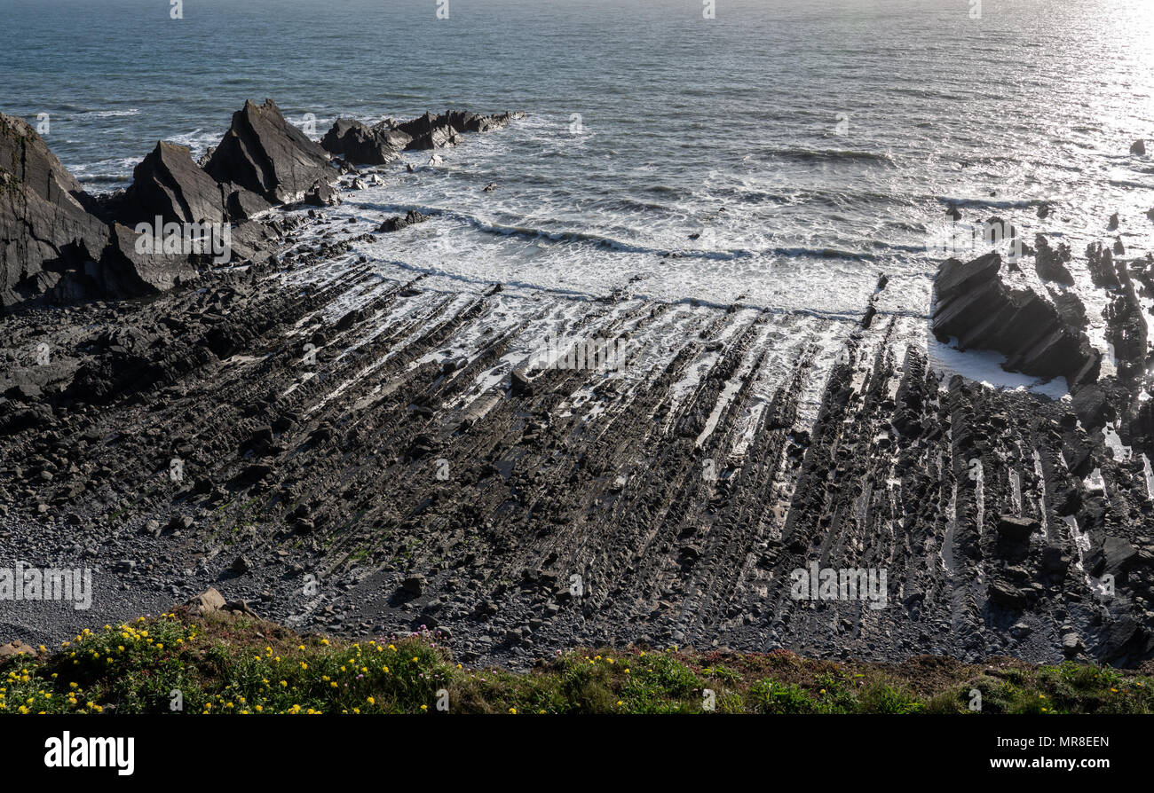 Unique structure of rocks at Hartland Quay in North Devon Stock Photo ...