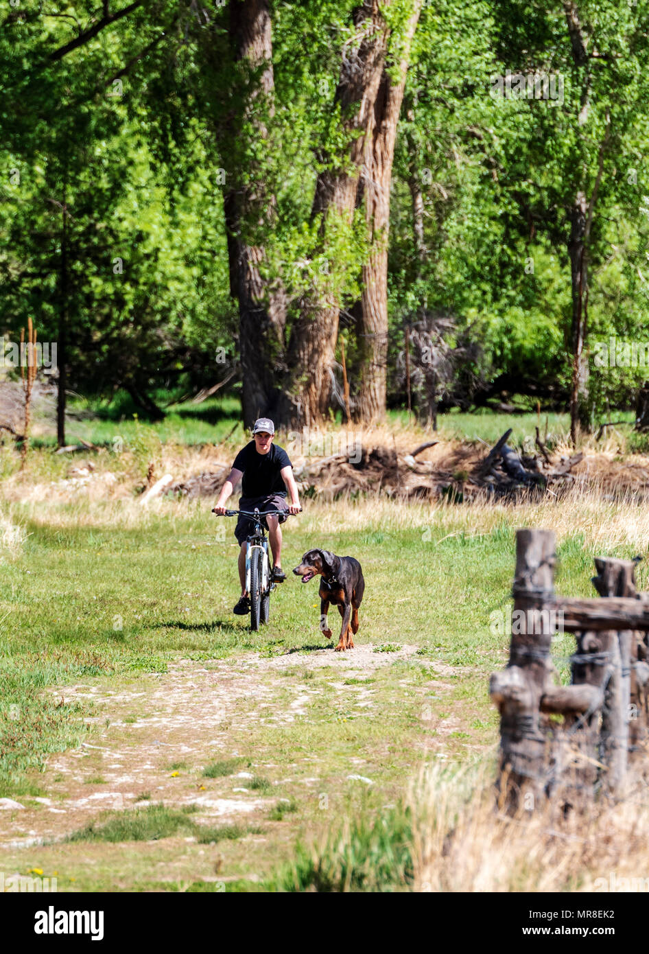 Young man mountain biking with his dog on a central Colorado ranch ...