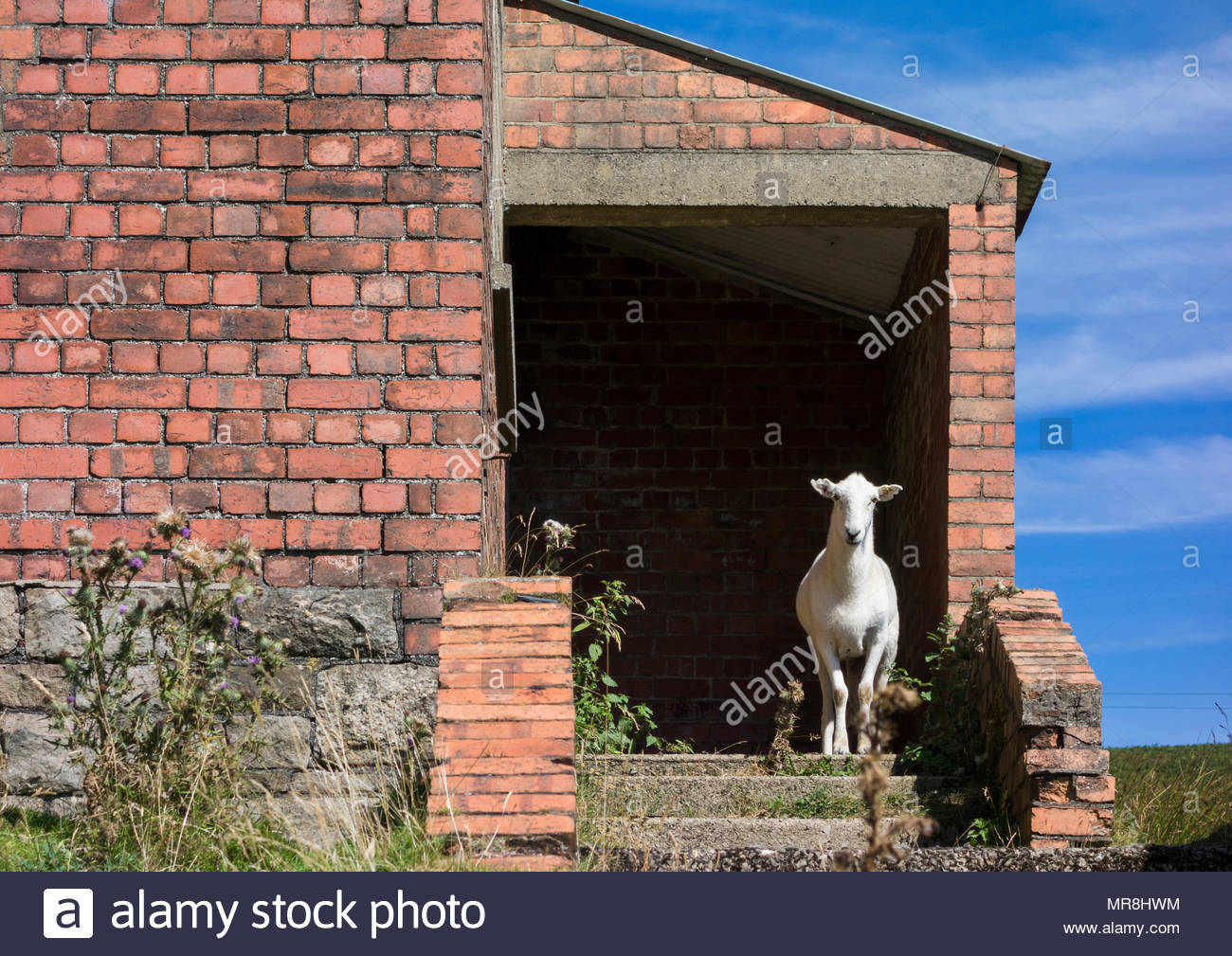 Torfaen Wales High Resolution Stock Photography and Images - Alamy