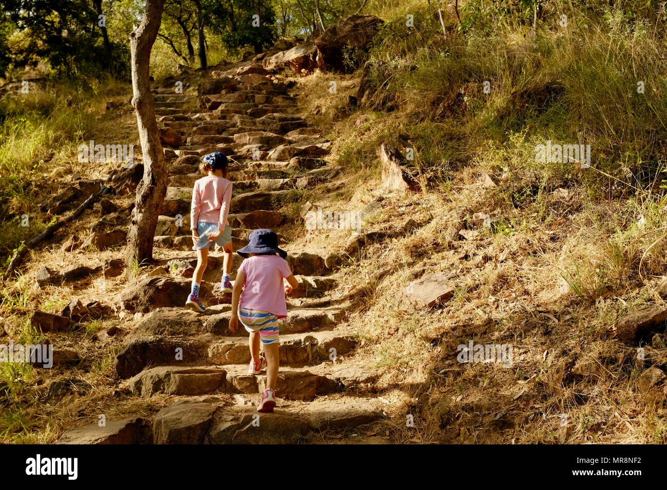 Family Bushwalking Australia High Resolution Stock Photography and ...