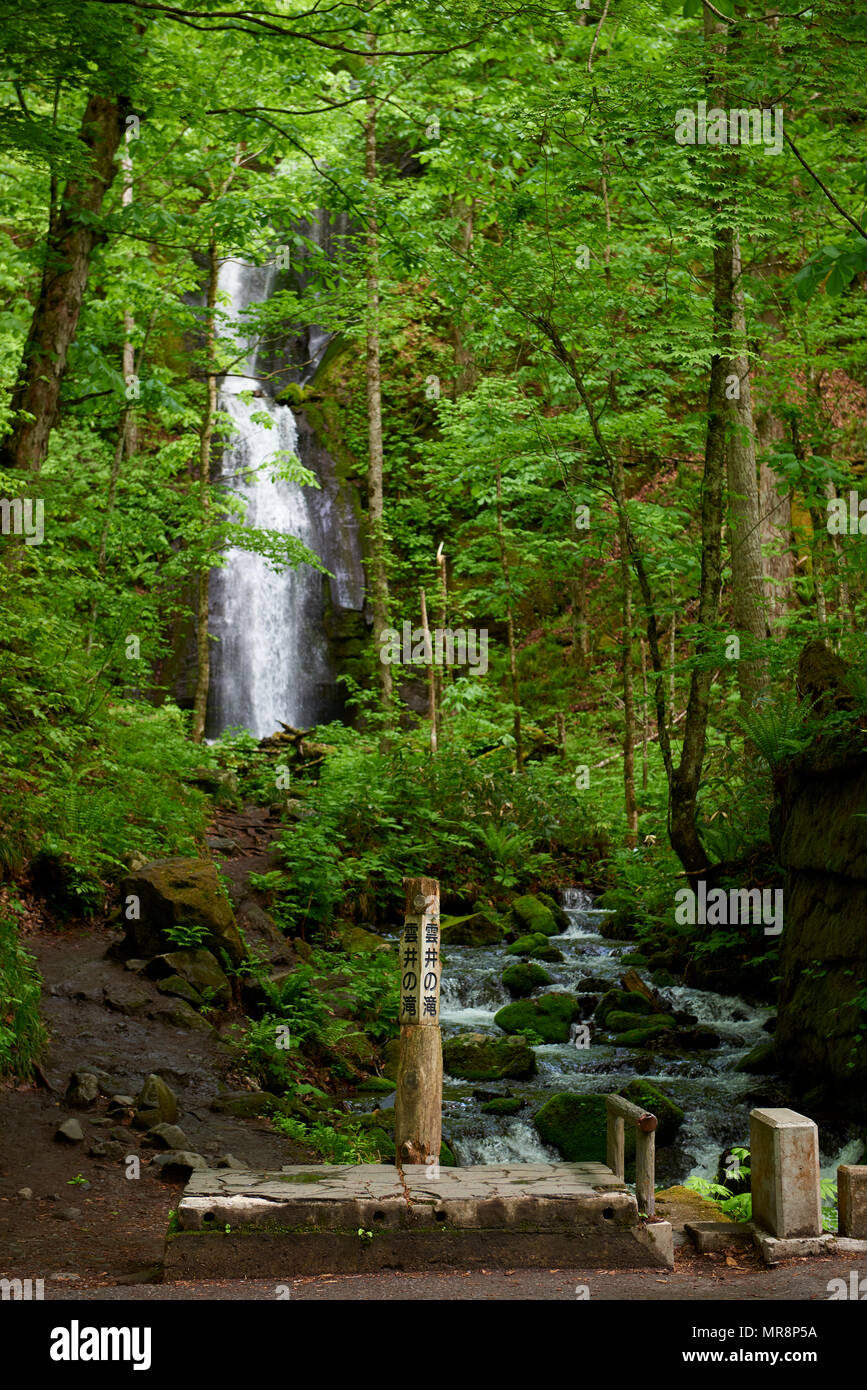 Oirase Keiryu Stream in Towada National Park, Japan. The stream walk is ...