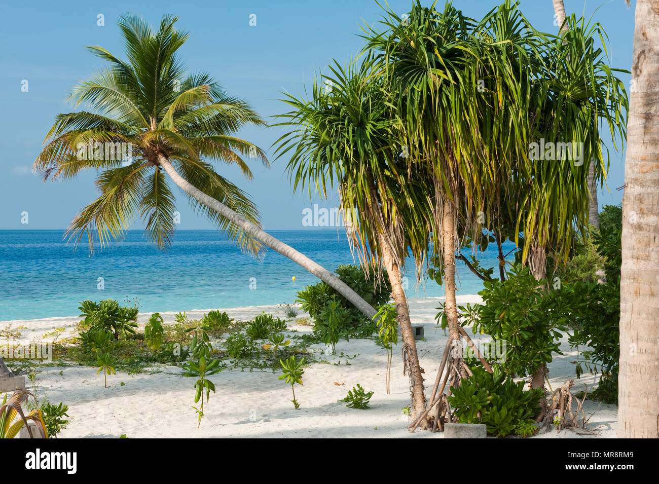 Malediven strand hi-res stock photography and images - Alamy