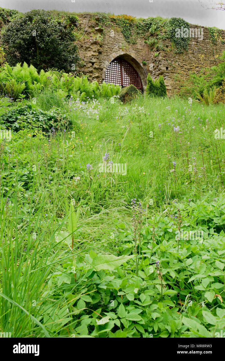 Anglo saxon castle wales hi-res stock photography and images - Alamy