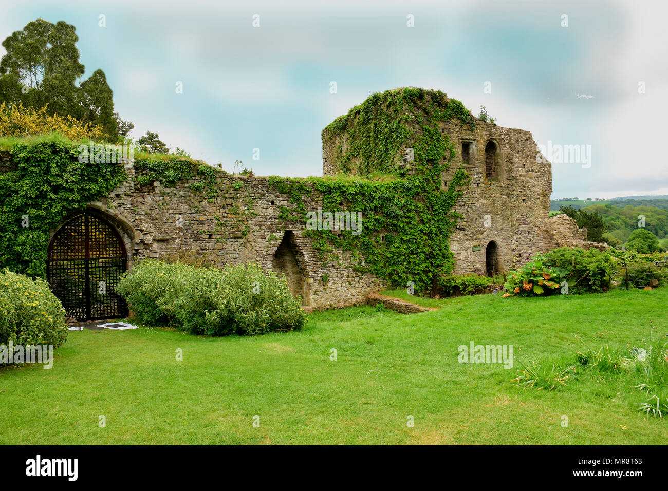 Anglo saxon castle wales hi-res stock photography and images - Alamy