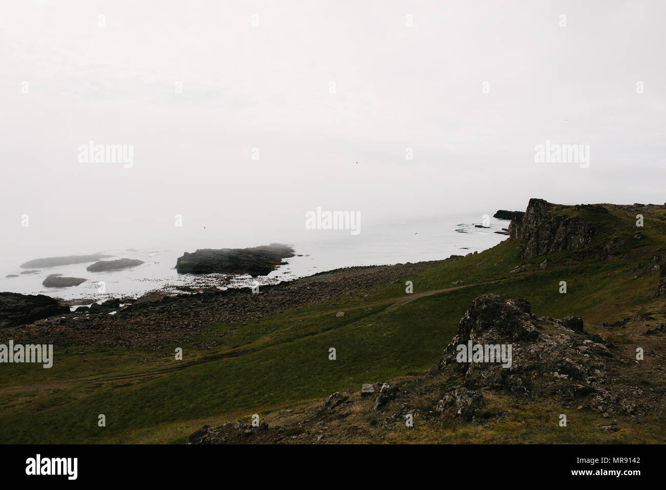 majestic icelandic landscape with rocks, grassy slope and seashore ...