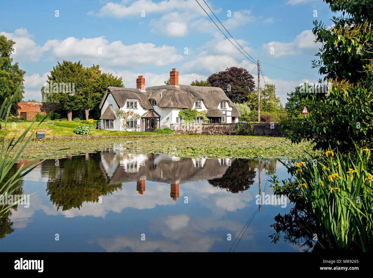 Old Badger High Resolution Stock Photography and Images - Alamy