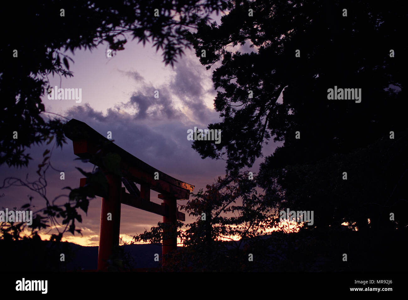 Torii Gate the Hakone Shrine on Lake Ashi Stock Photo - Alamy