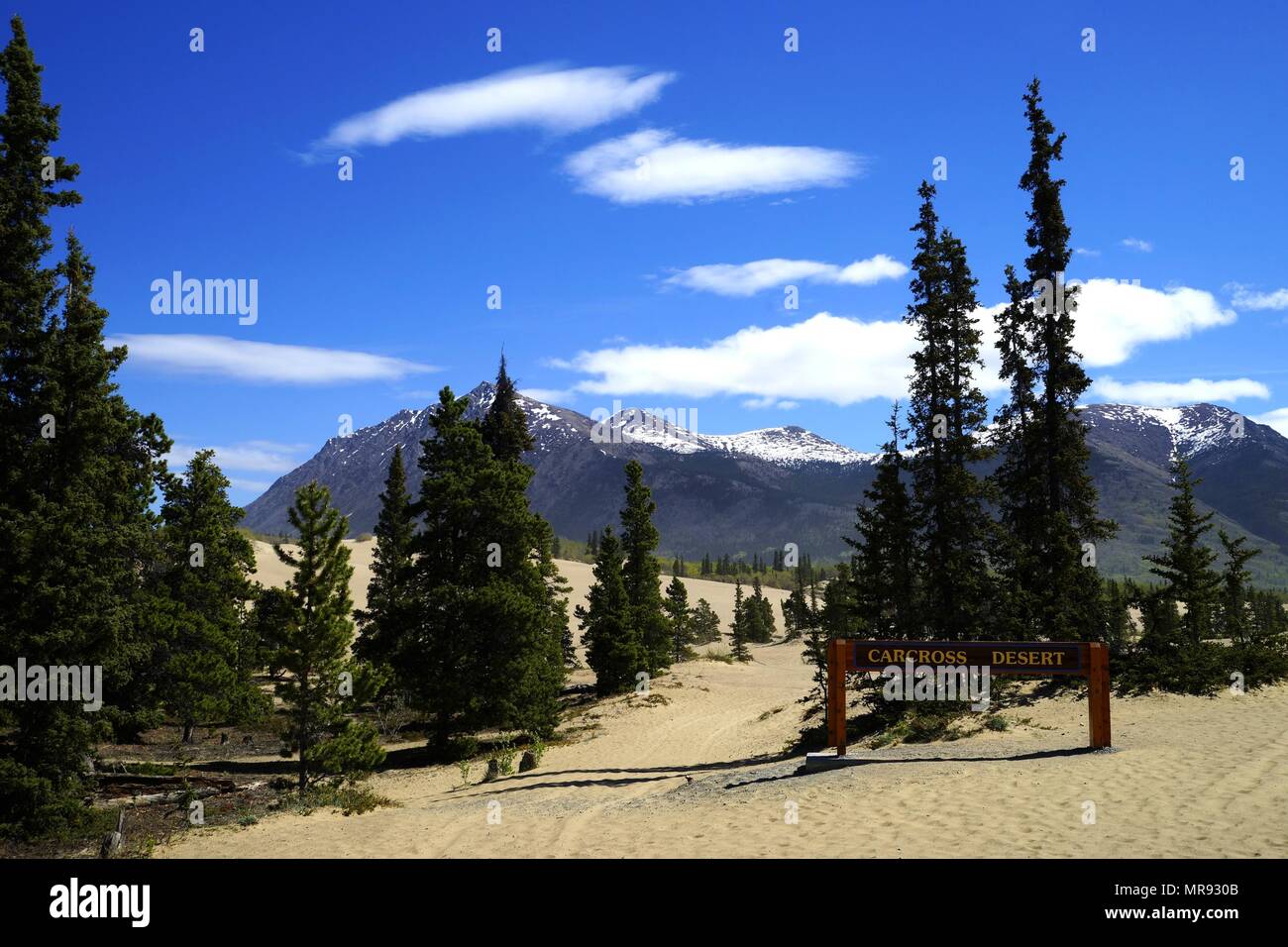 Carcross desert hi-res stock photography and images - Alamy