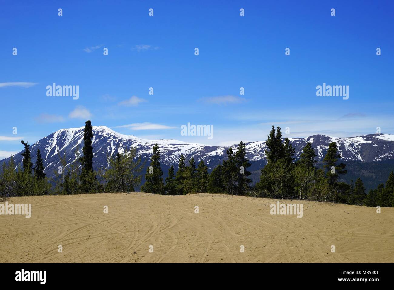 Carcross desert hi-res stock photography and images - Alamy