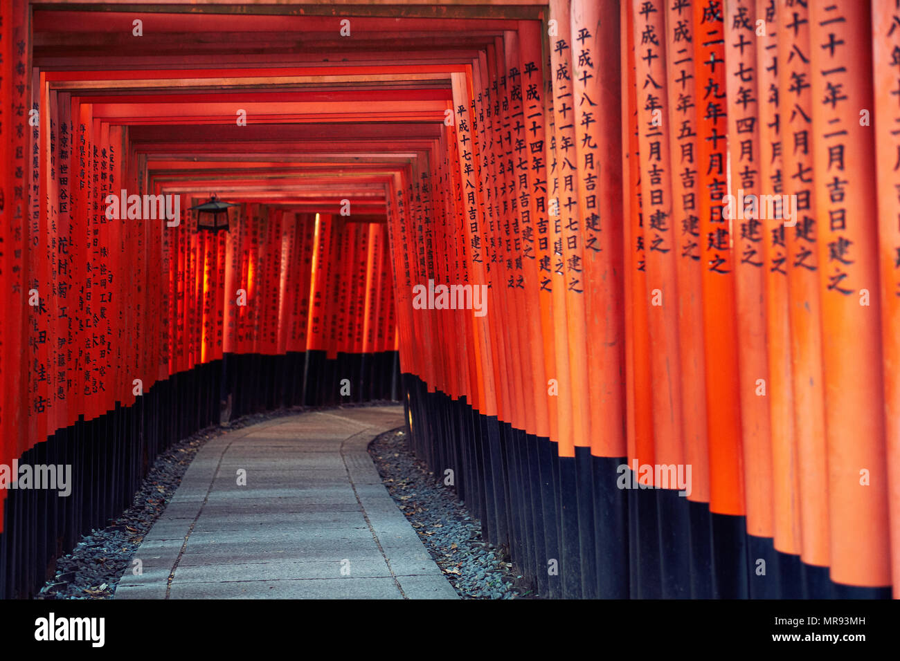 Close up torii gates hi-res stock photography and images - Alamy