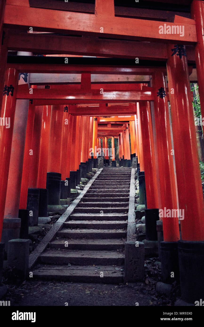 Close up torii gates hi-res stock photography and images - Alamy
