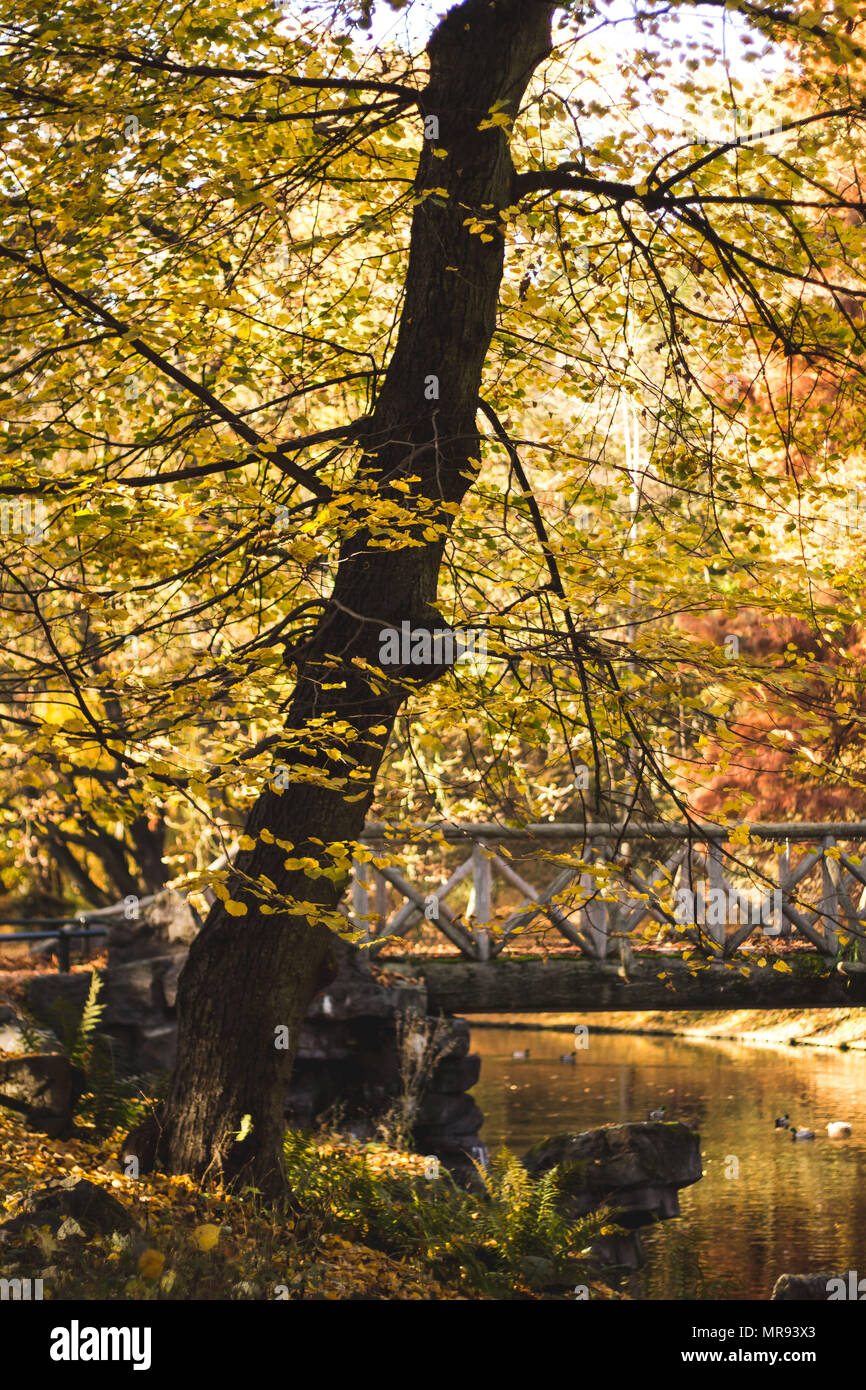 Josaphat Park High Resolution Stock Photography and Images - Alamy