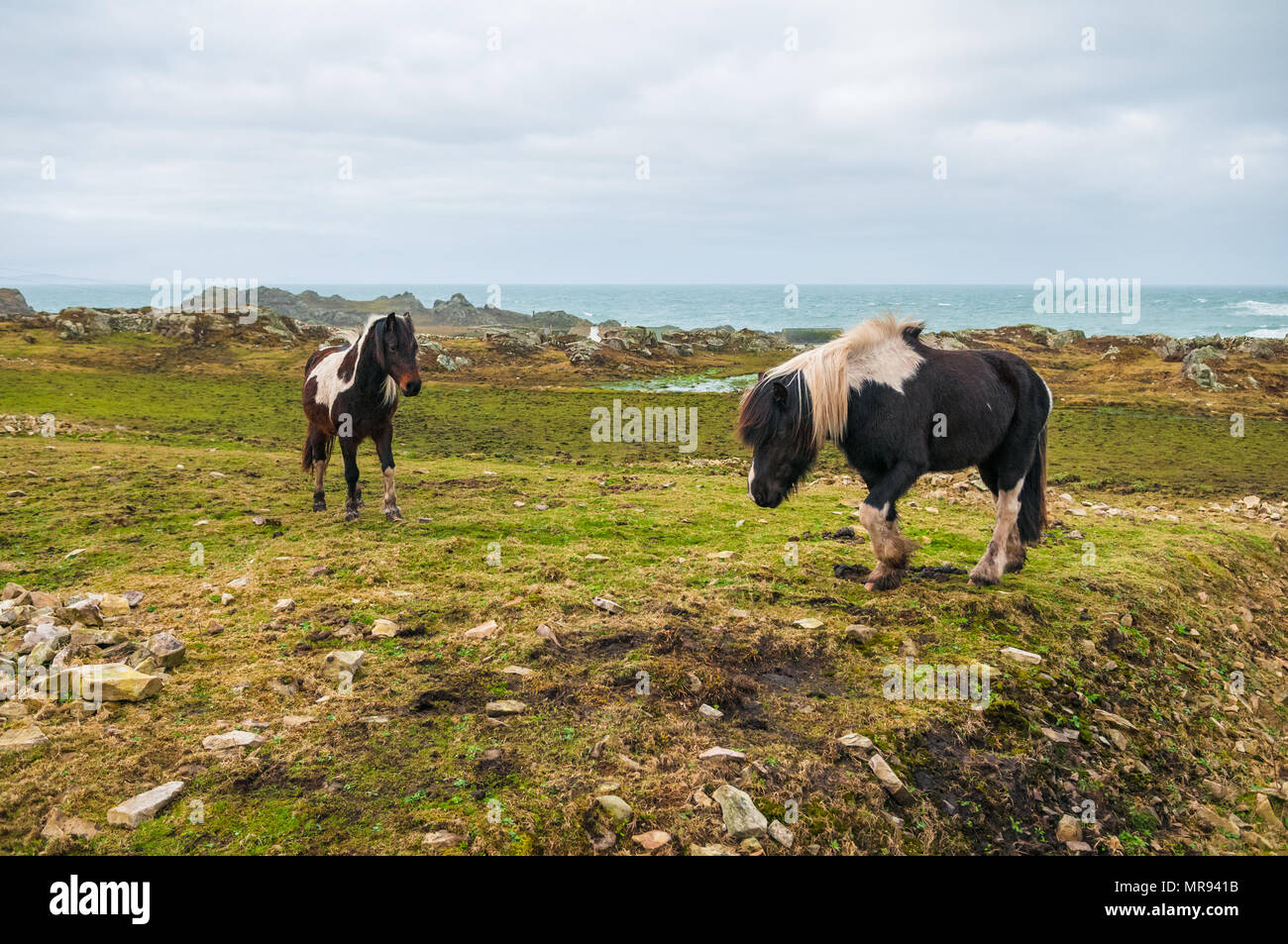 Donegal highlands hi-res stock photography and images - Alamy