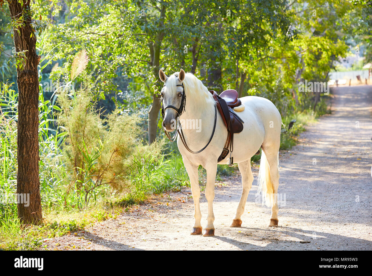 Relaxed standing hi-res stock photography and images - Alamy