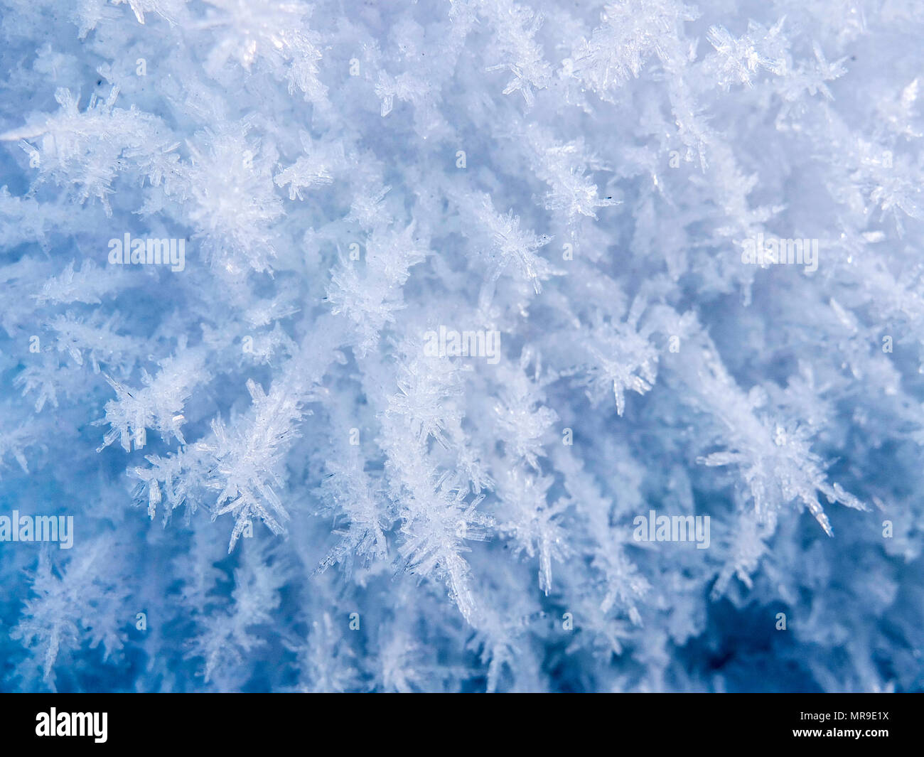 Alaska hoar frost hi-res stock photography and images - Alamy
