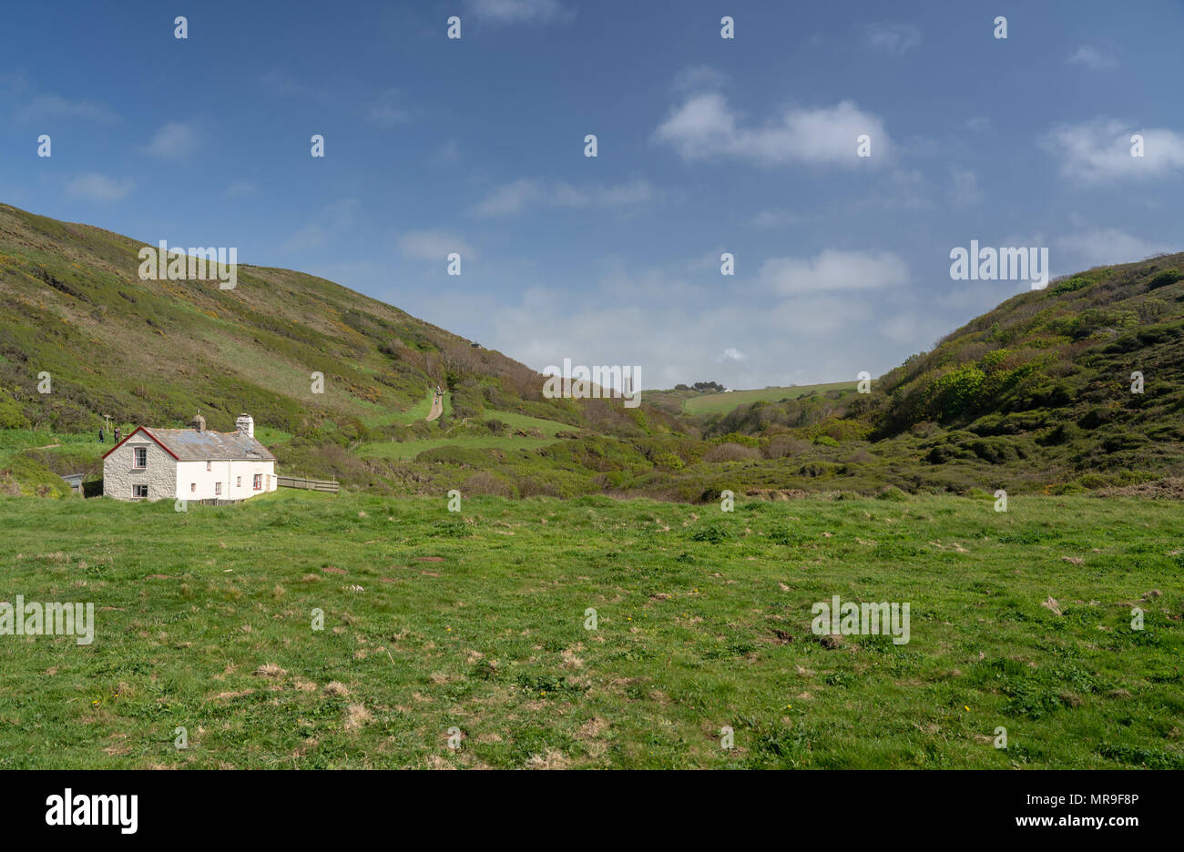 Hartland abbey hi-res stock photography and images - Alamy