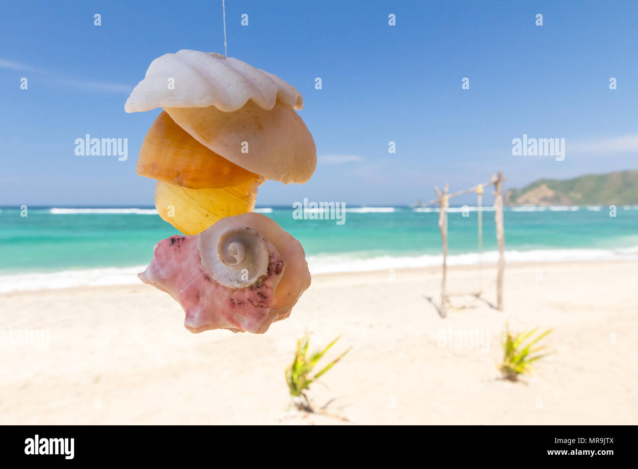 Shell paradise hi-res stock photography and images - Alamy
