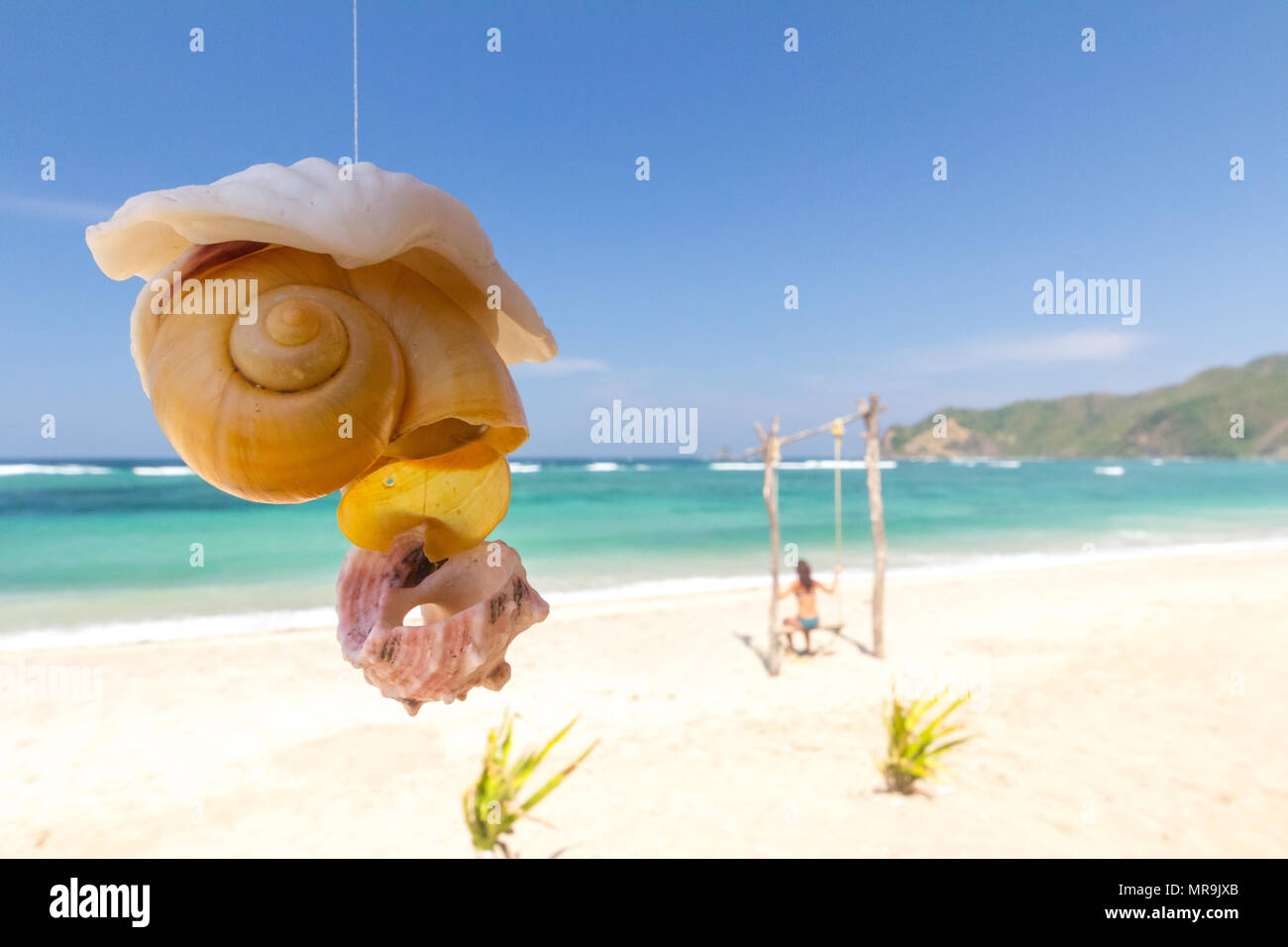 Shell paradise hi-res stock photography and images - Alamy