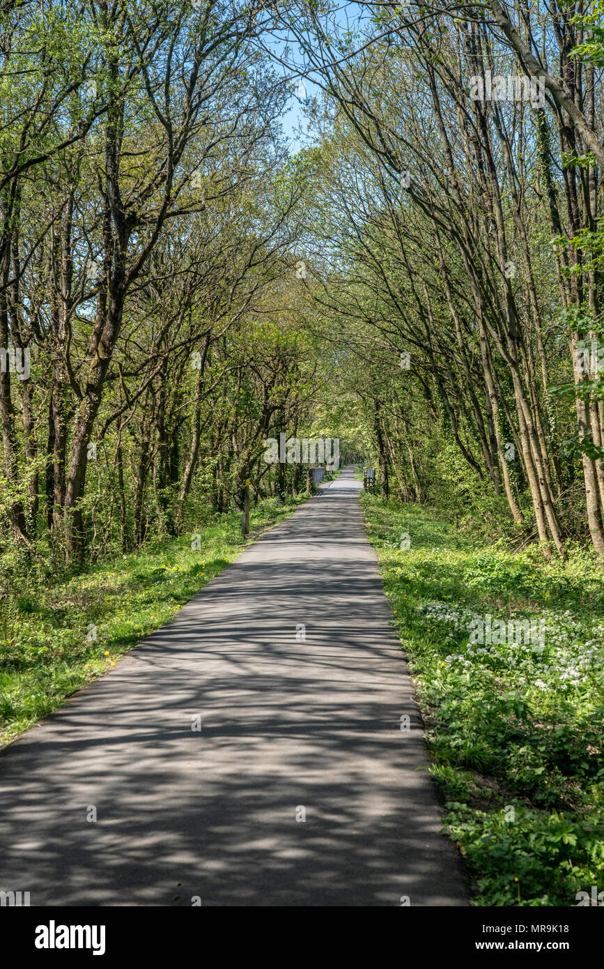 Tarka trail hi-res stock photography and images - Alamy