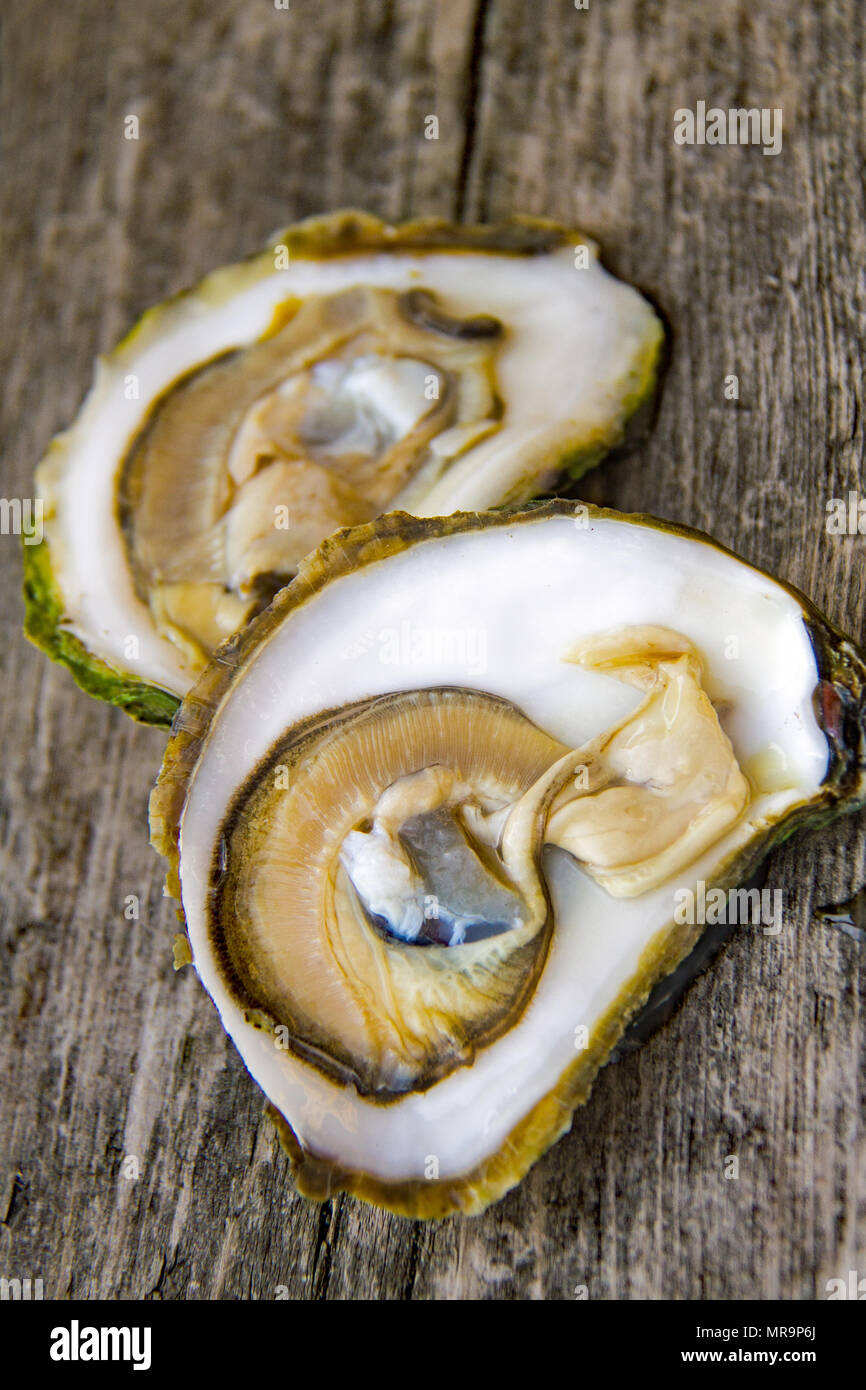 Fresh oyster Just taken from the ocean Stock Photo - Alamy