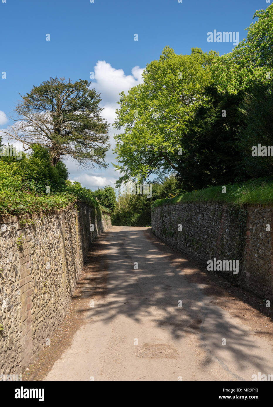 Narrow traditional stone wall track leading to forest Stock Photo - Alamy