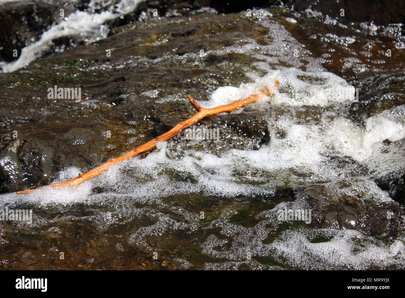 Chester creek hi-res stock photography and images - Alamy