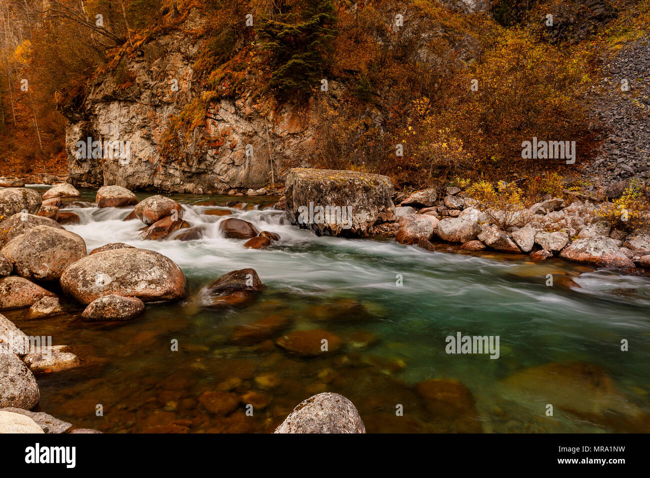 Autumn color along the Little Susitna River Alaska Stock Photo - Alamy