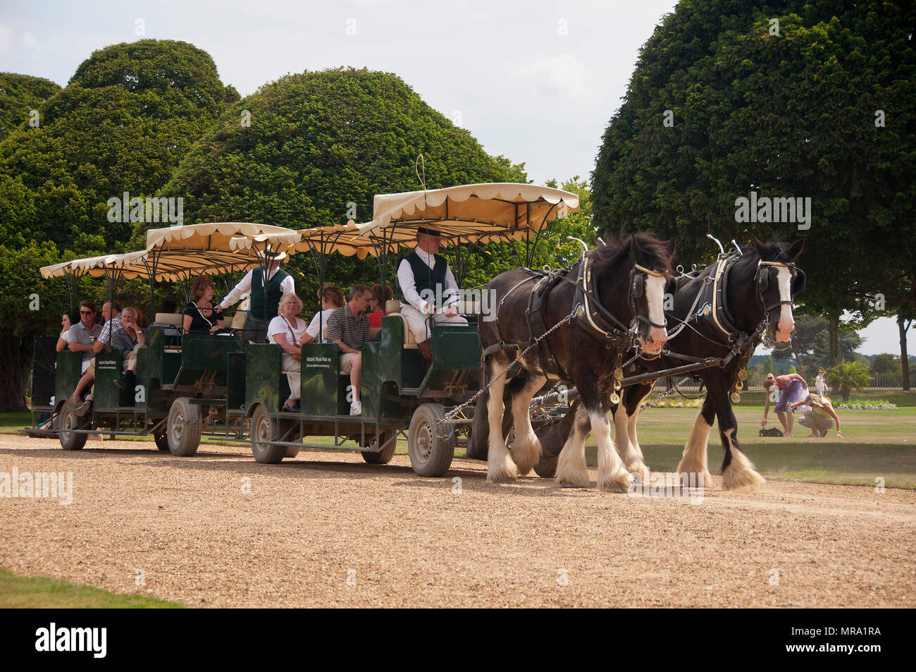 horse train carrying visitors around Hampton Court Palace Stock Photo ...