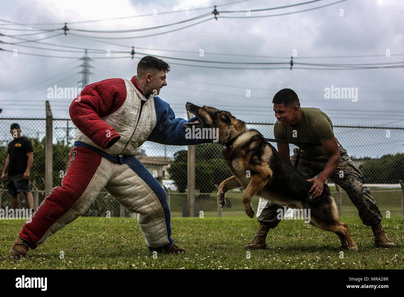 Mwd camera hi-res stock photography and images - Alamy