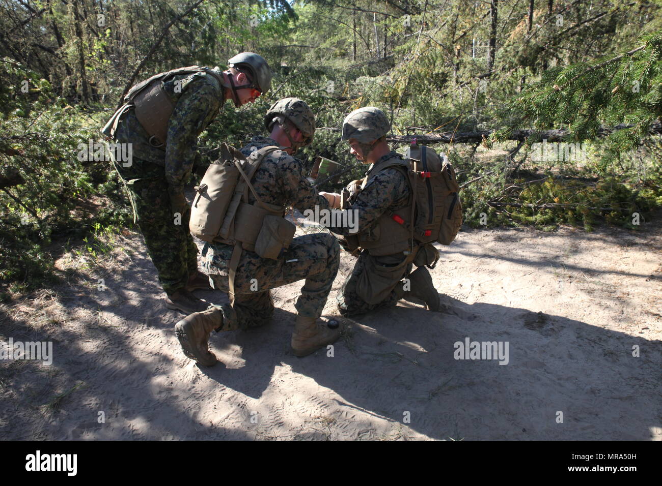Combat engineers with Engineer Company, Detachment Bravo, Marine Wing ...
