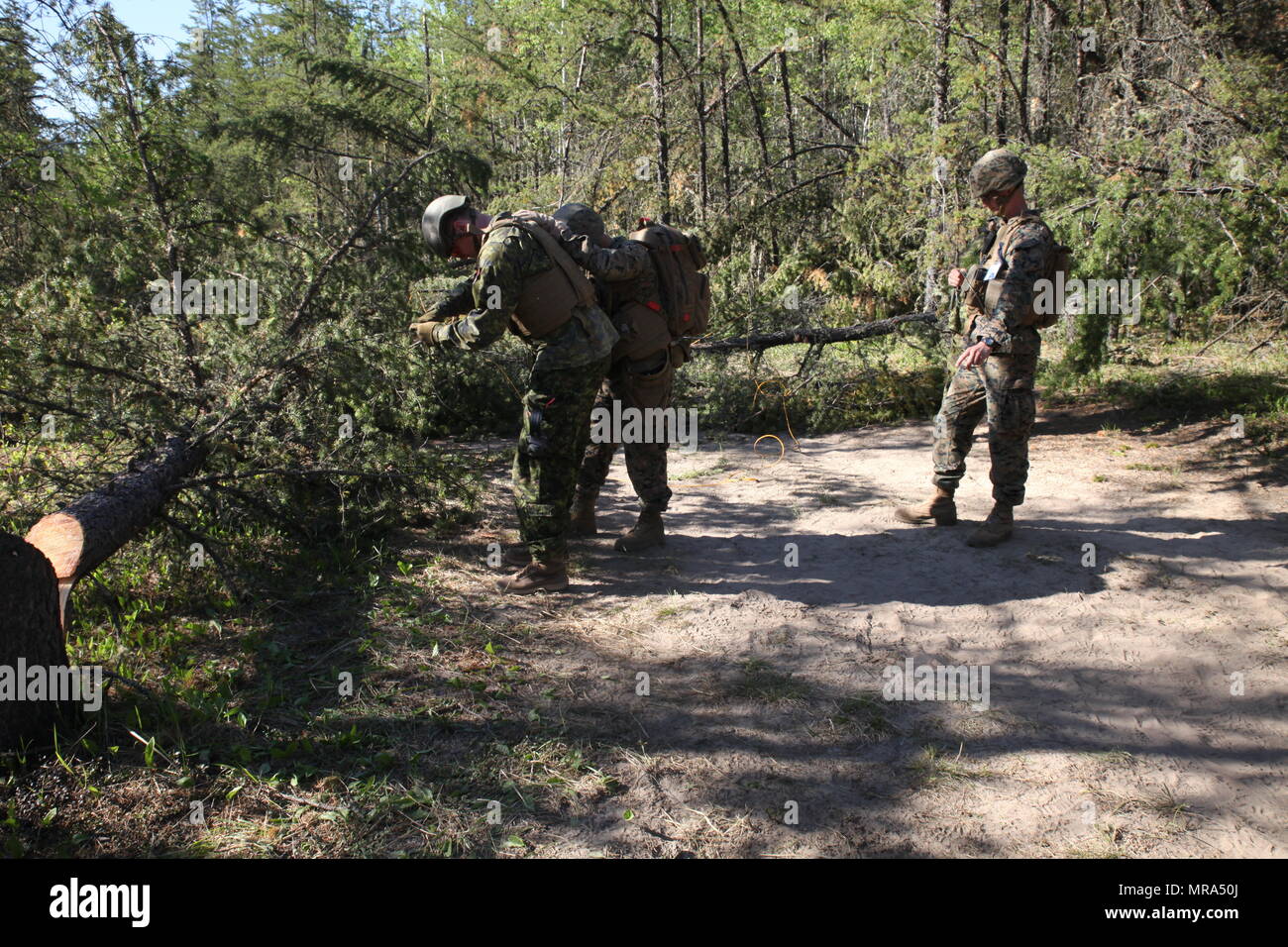 Field expedient bangalore hi-res stock photography and images - Alamy
