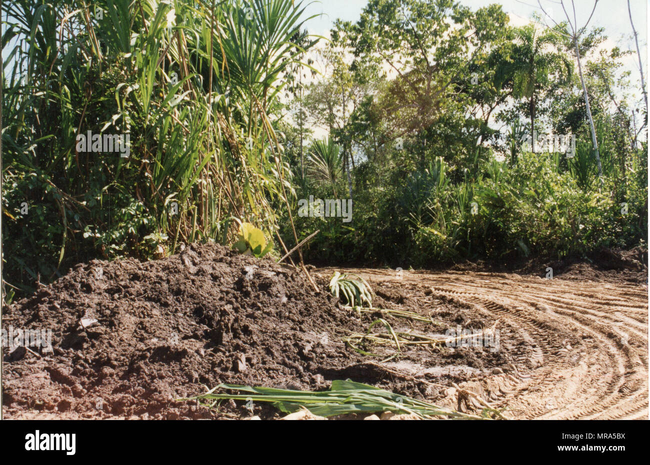 Image depicts rural dirt hi-res stock photography and images - Alamy