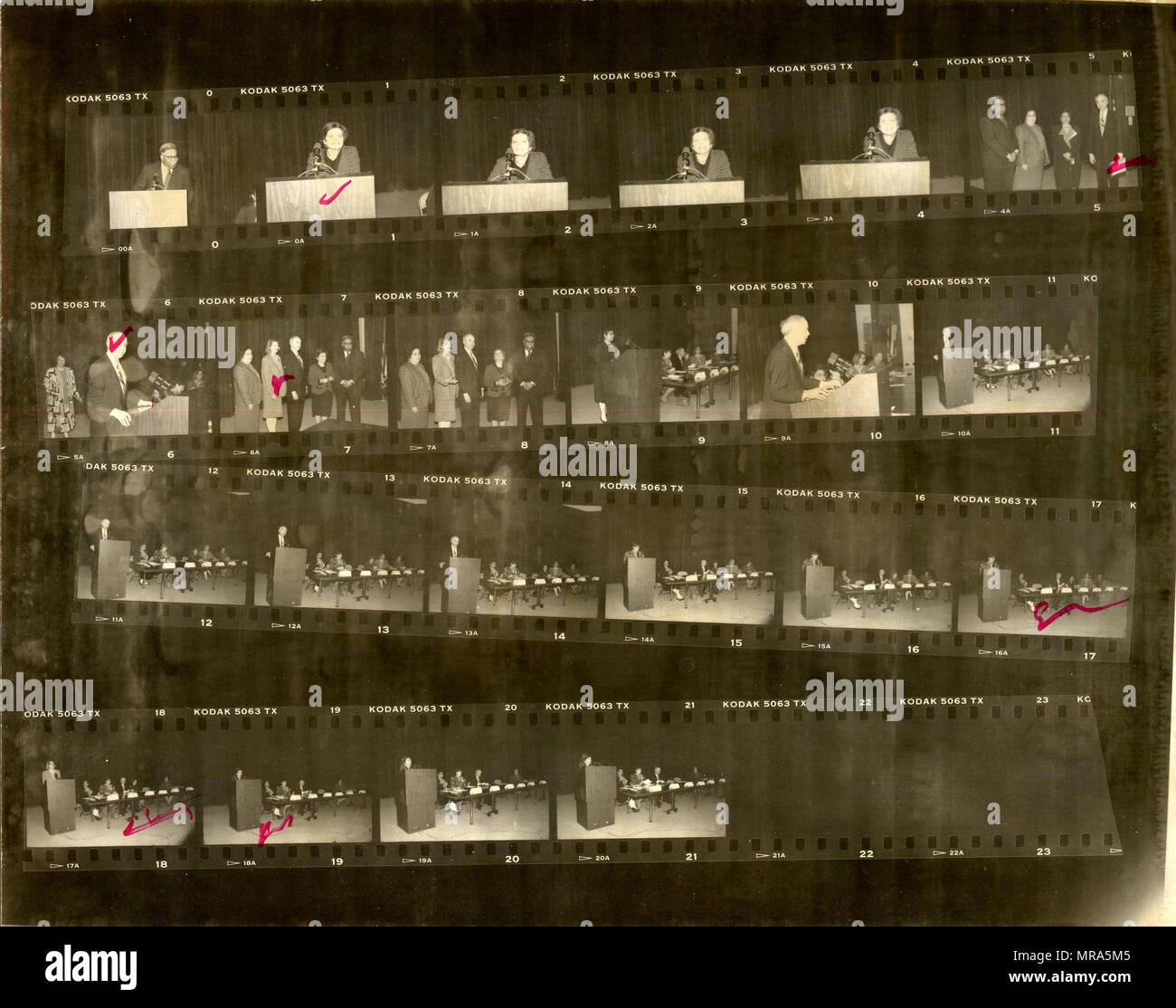 WOMEN'S ACTION ORGANIZATION - filmsheet Stock Photo - Alamy