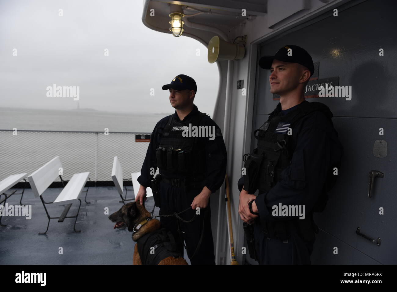 Canine handler from maritime safety security team new york hi-res stock ...