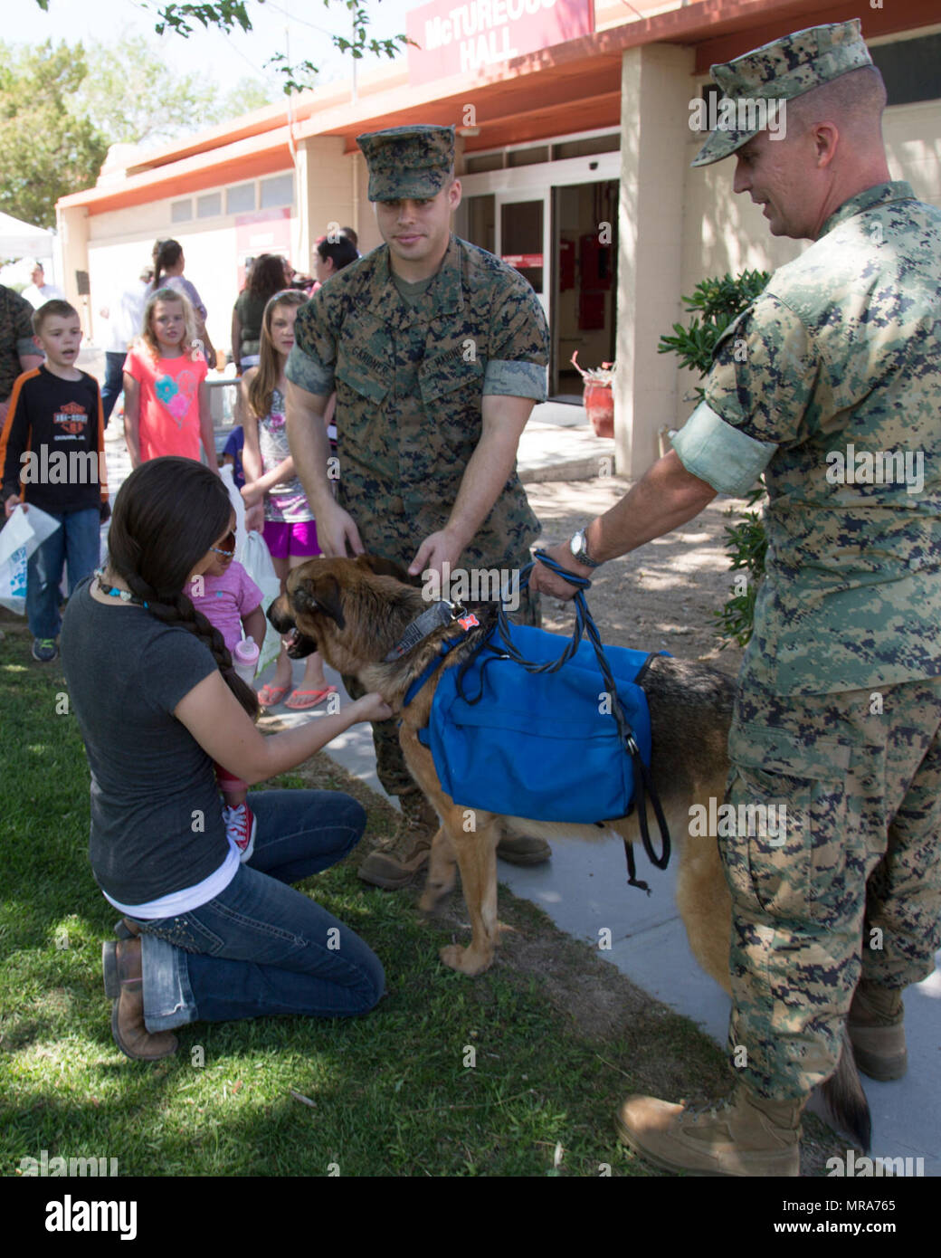 Harley, a service dog in training, is introduced to civilians and ...