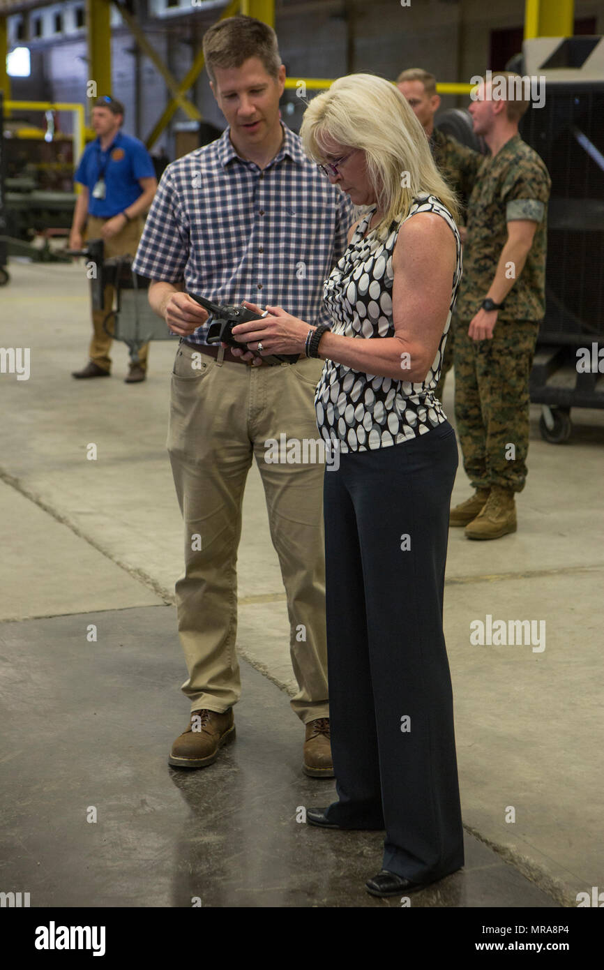 Dorothy Engelhardt, Deputy Assistant Secretary of the Navy for Unmanned ...
