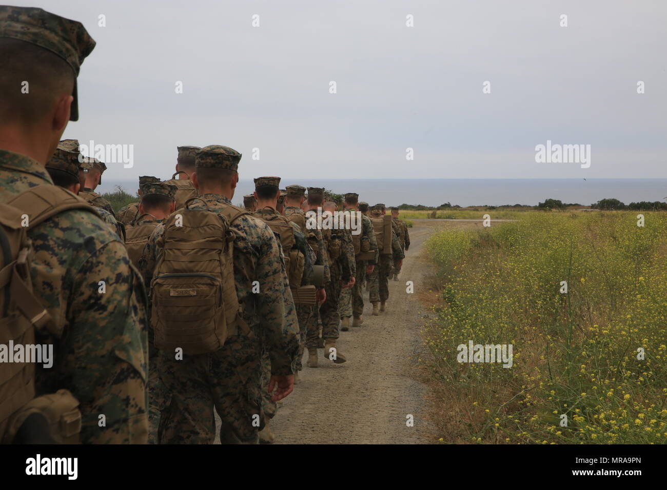 1st Marine Regiment High Resolution Stock Photography and Images - Alamy