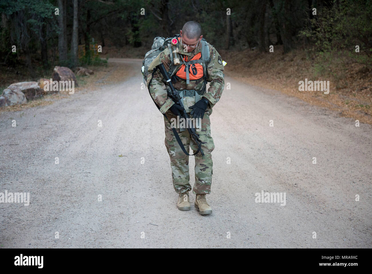 United states army network enterprise center usanec hi-res stock ...