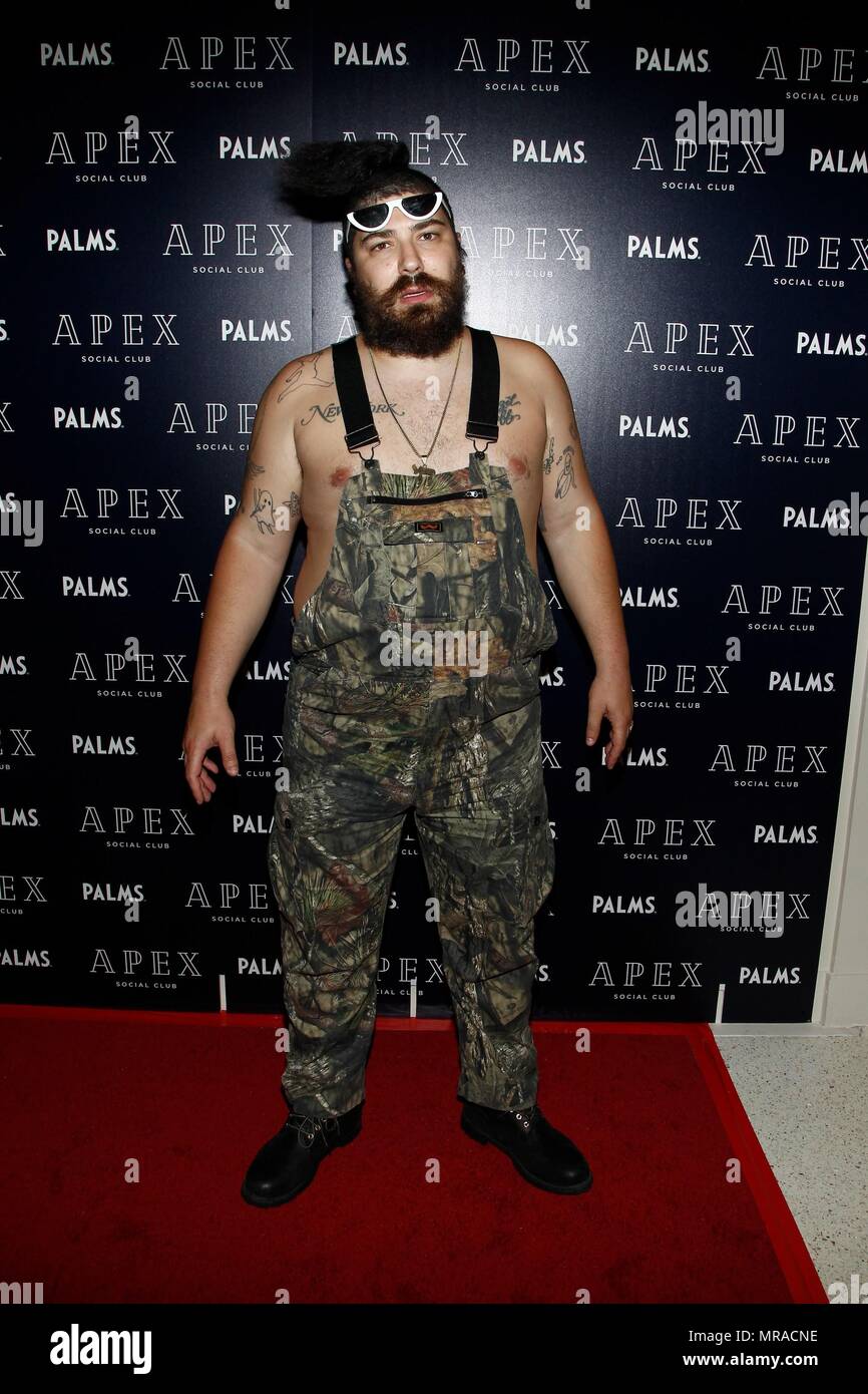 Holly Marie Combs And Josh Cocktail